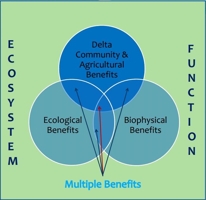 Delta Conservation Framework