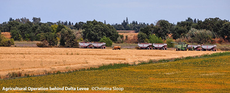 Delta Conservation Framework