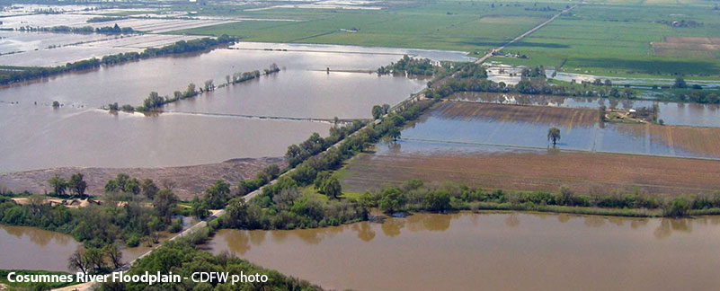 Delta Conservation Framework