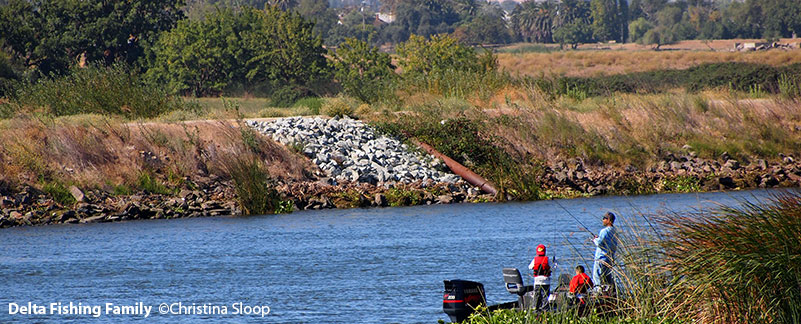 Delta Conservation Framework