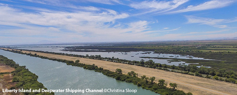 Delta Conservation Framework