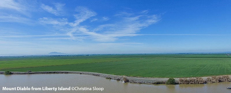 Delta Conservation Framework