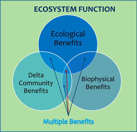 Delta Conservation Framework