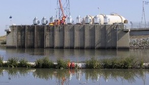 North Bay Aqueduct Larval Fish Survey