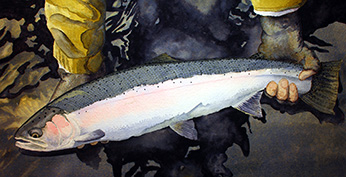 Steelhead Fishing Report and Restoration Card